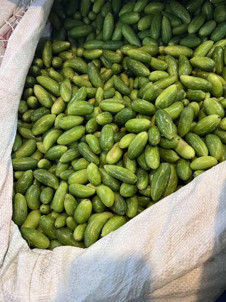 air fryer tindora fry | fried ivy gourd in air fryer - SecondRecipe