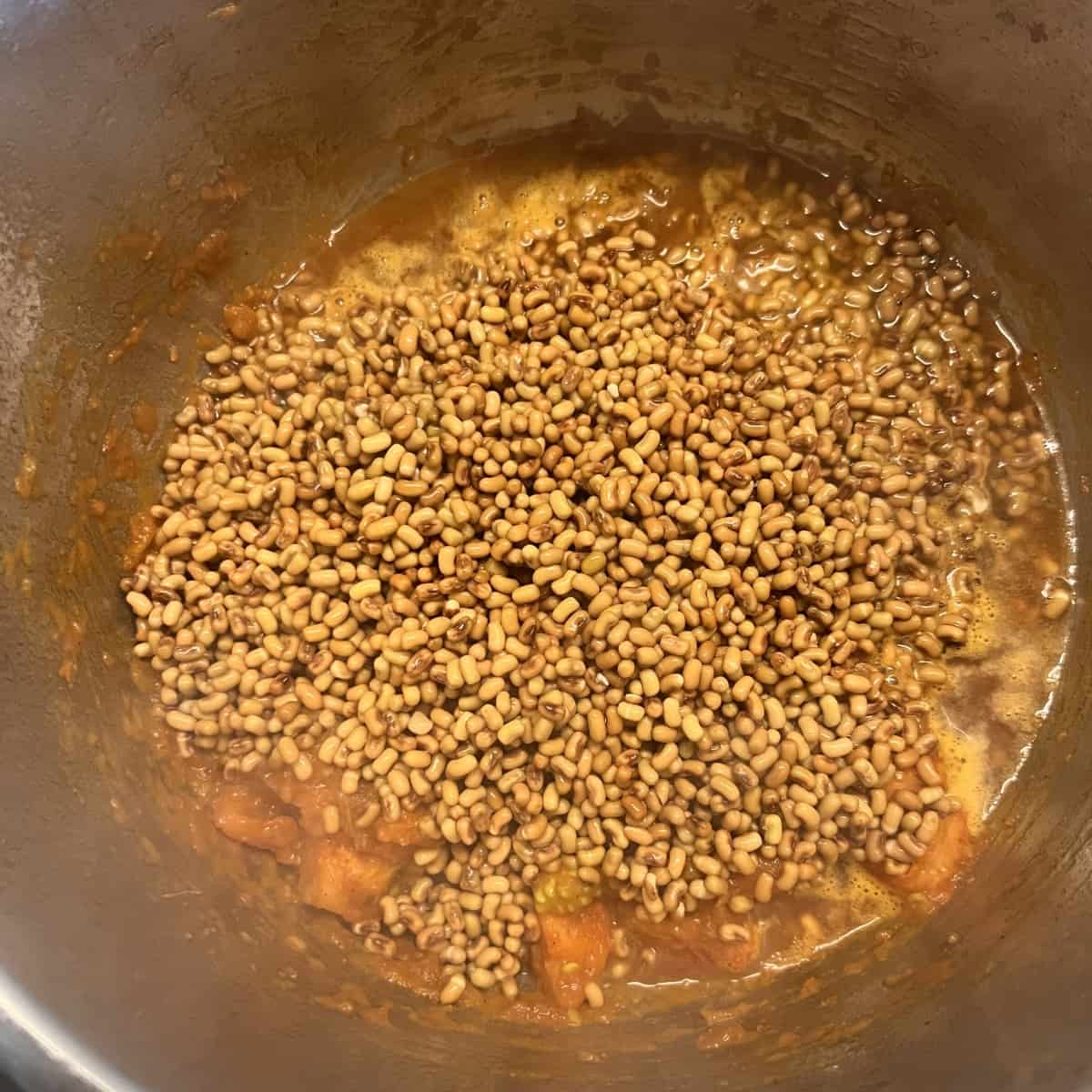 Instant pot moth beans recipe | easy moth dal curry - SecondRecipe