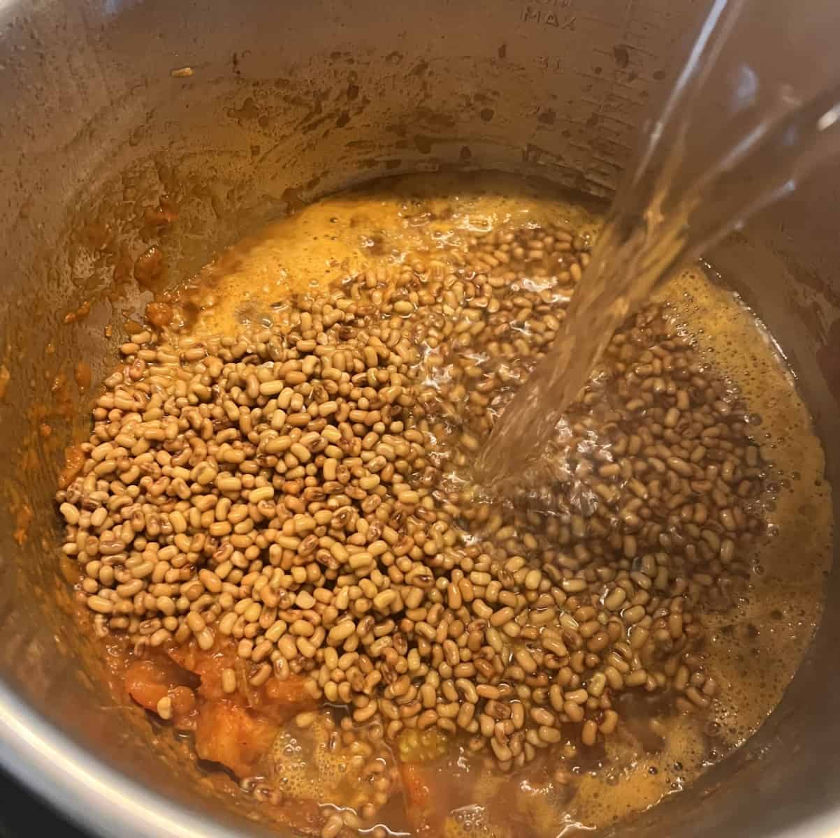 Instant pot moth beans recipe | easy moth dal curry - SecondRecipe