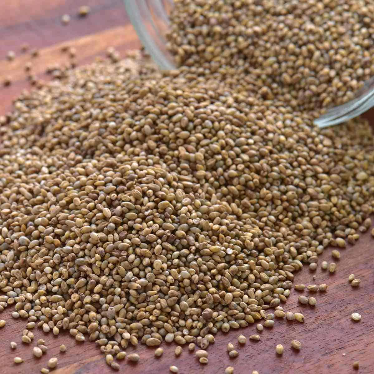 millets with names | Glossary of millet grains - SecondRecipe