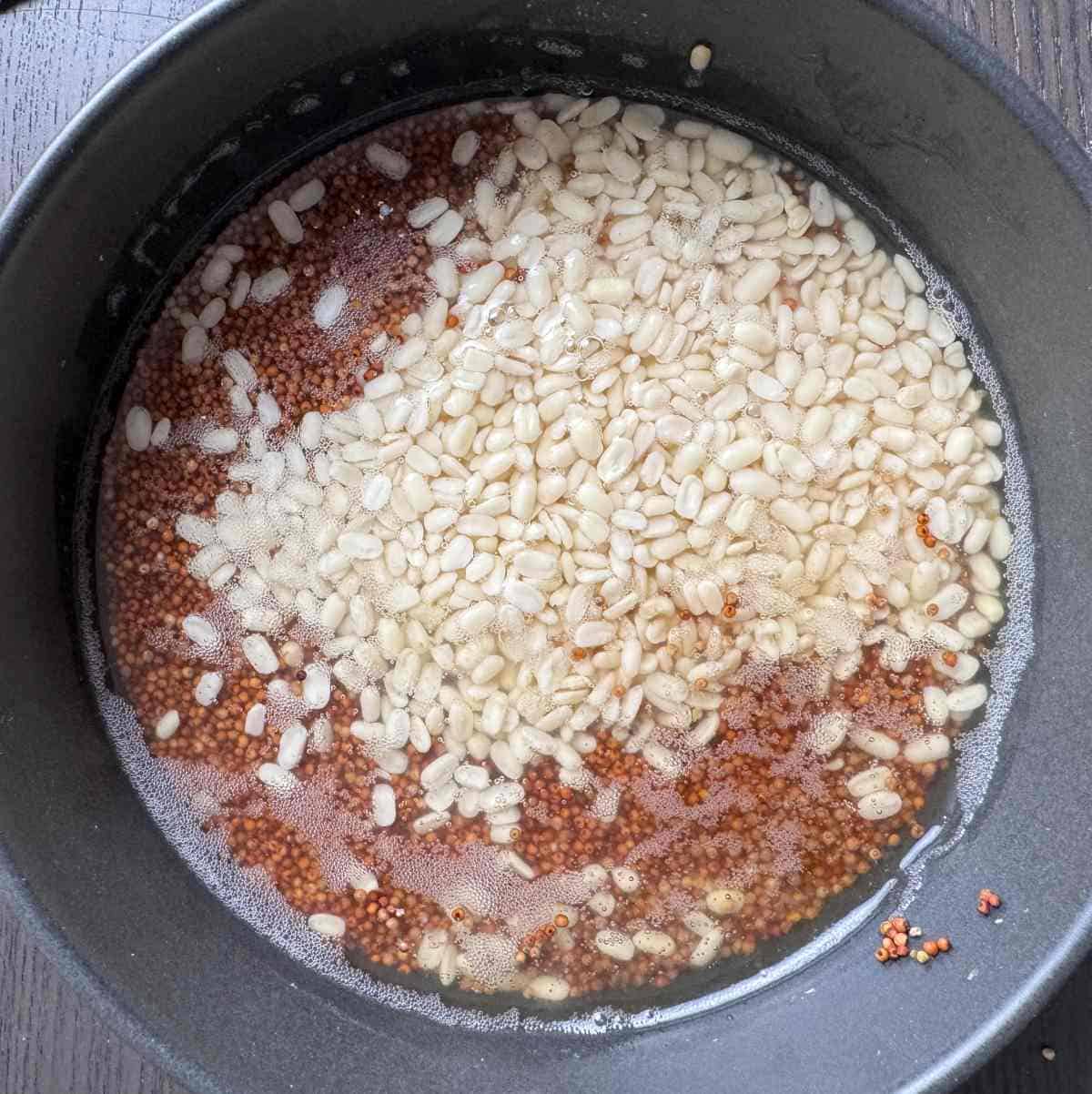 Ragi idli recipe | whole finger millet (no rice) dosa - SecondRecipe